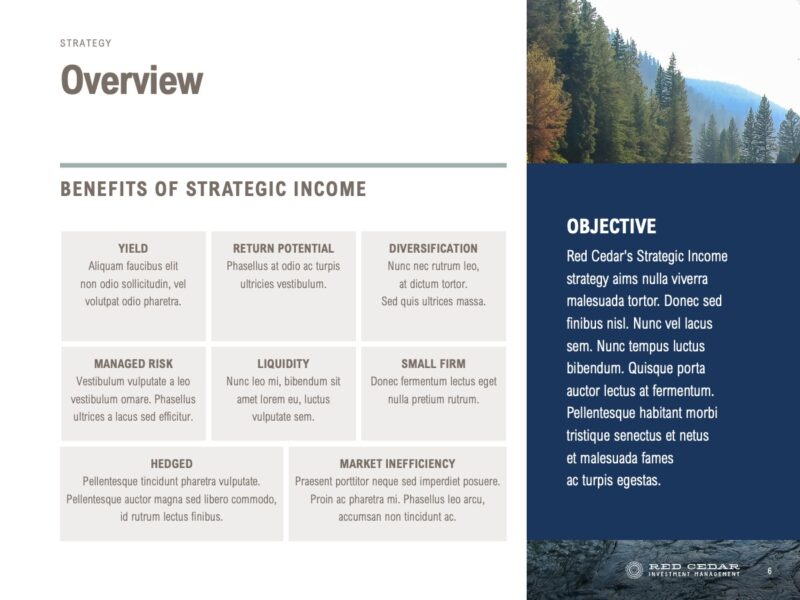 Text-Heavy Presentation Design | SlideRabbit